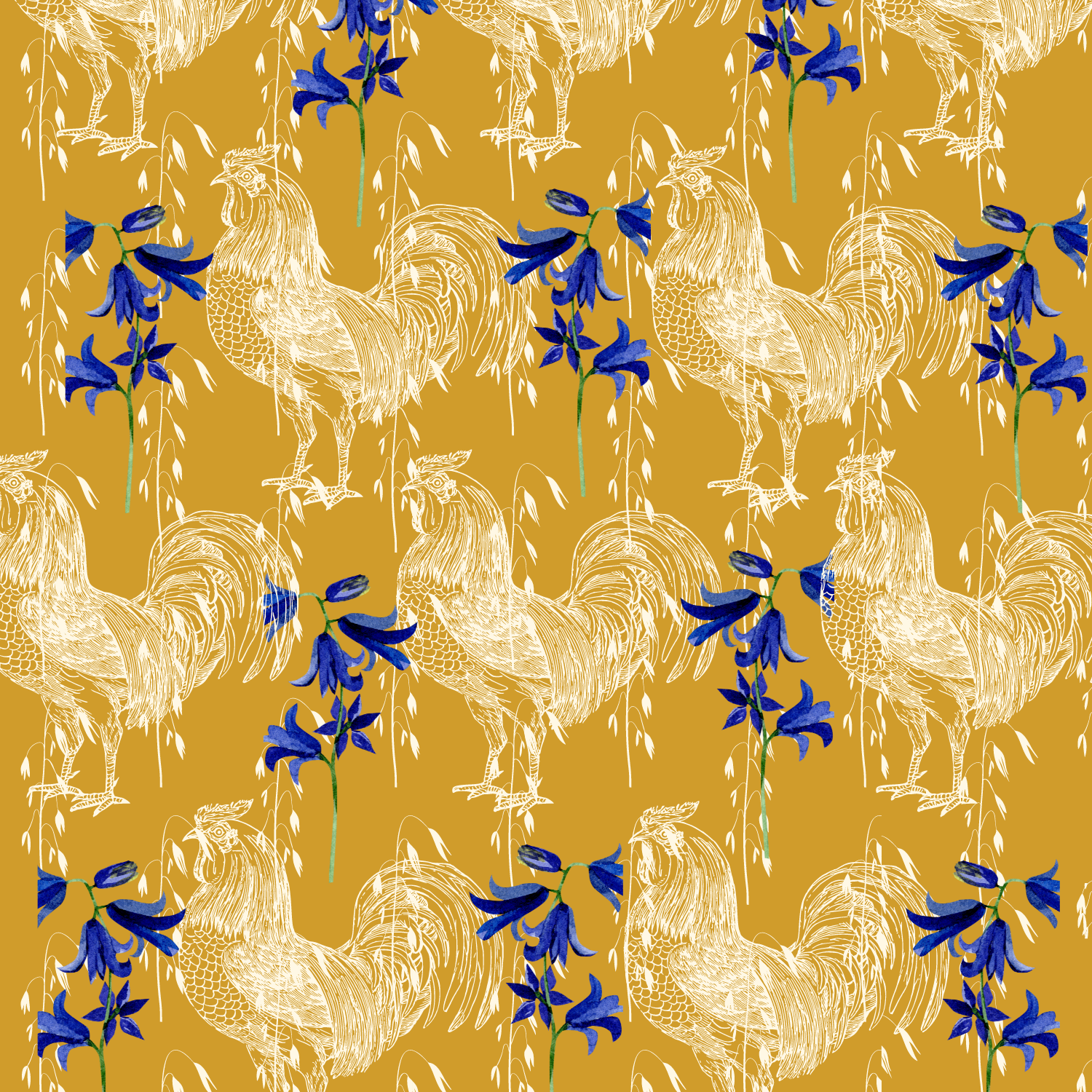 Banco de Imágenes - Gallinas/Gallos – Claussen