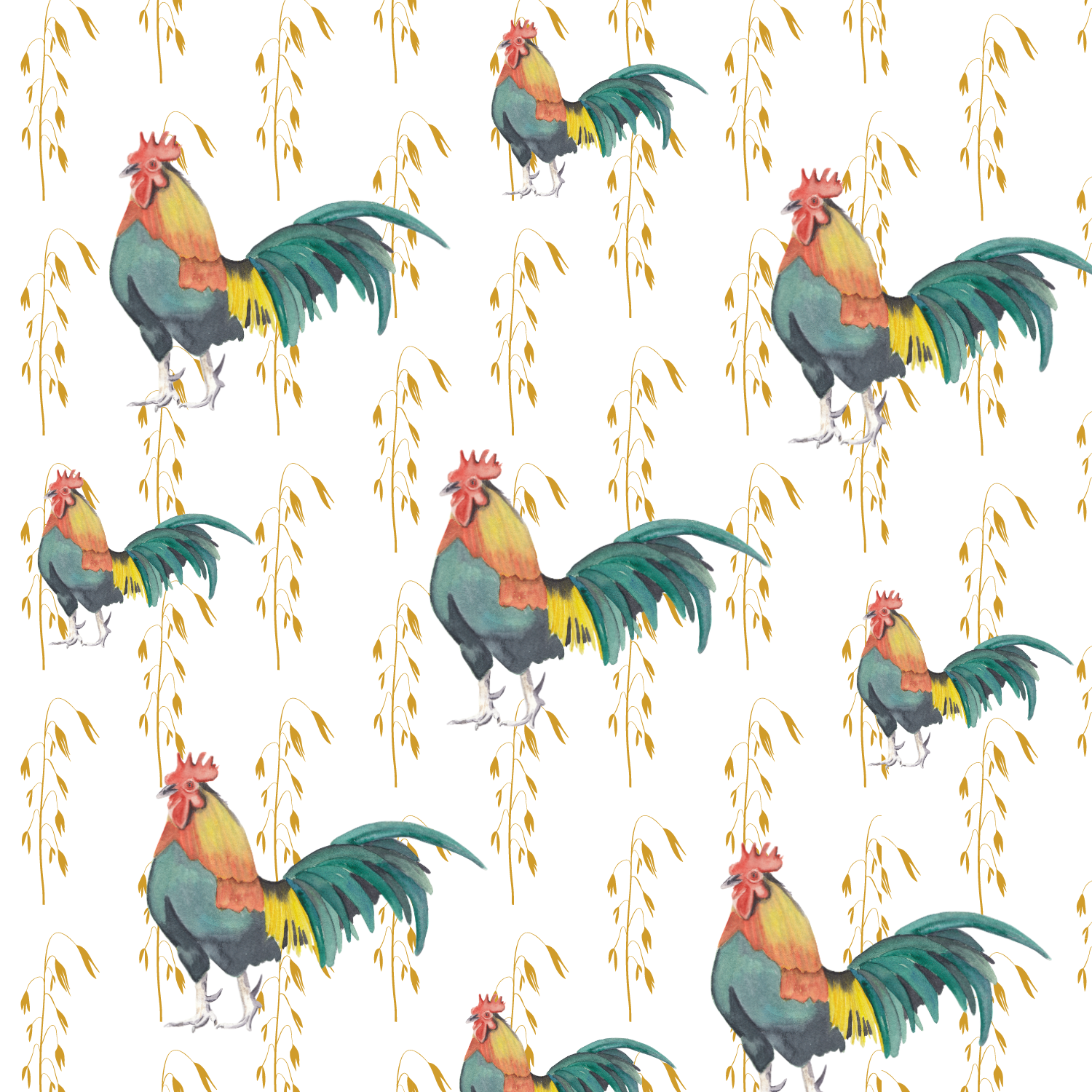 Banco de Imágenes - Gallinas/Gallos – Claussen