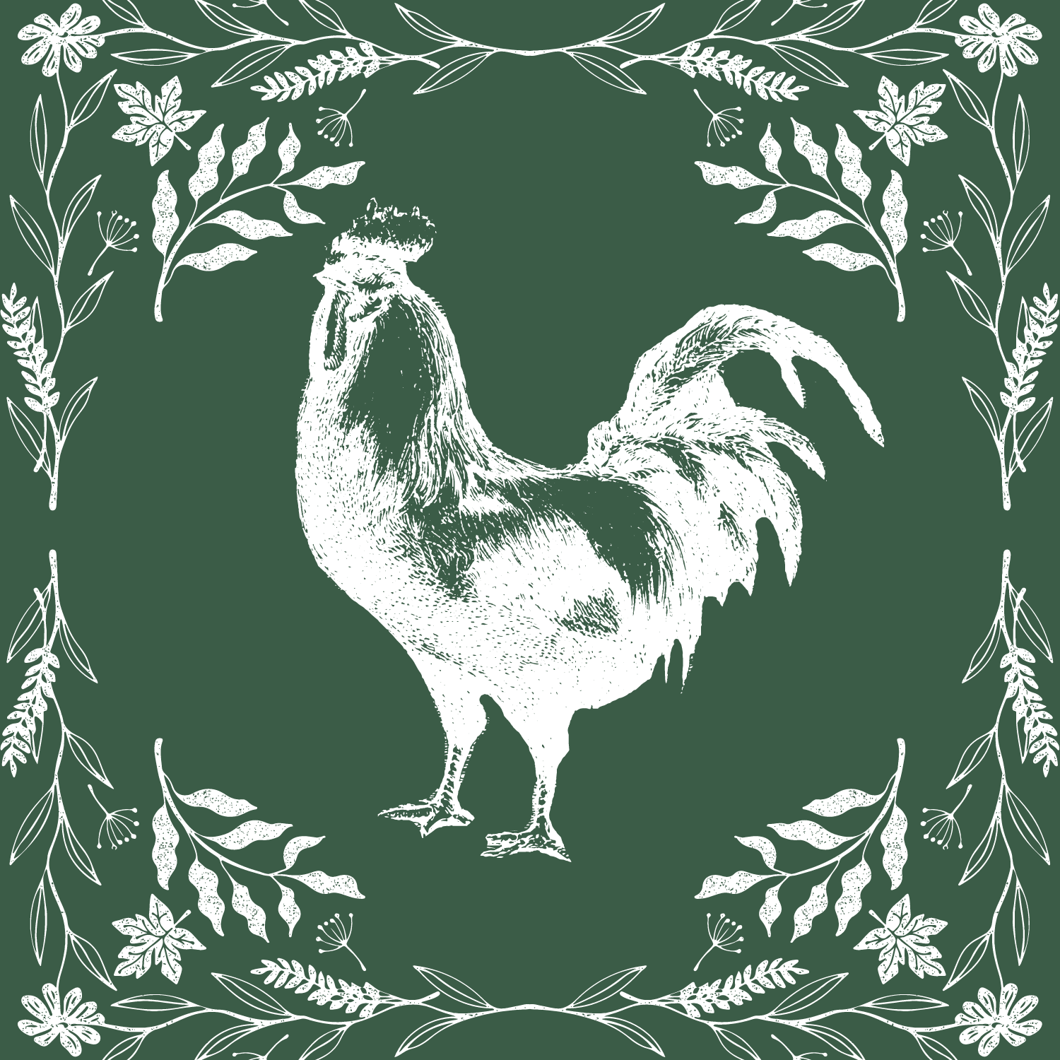 Banco de Imágenes - Gallinas/Gallos – Claussen